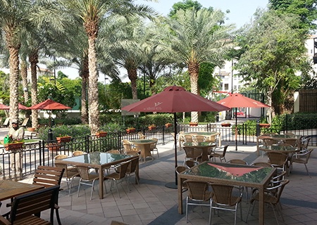 Family Friendly Sports Club In Dubai - Al Areesh Club - DFC